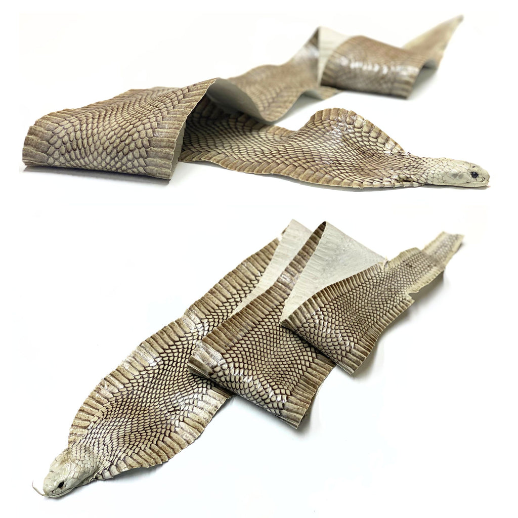 Snake Skins — Leather Unlimited