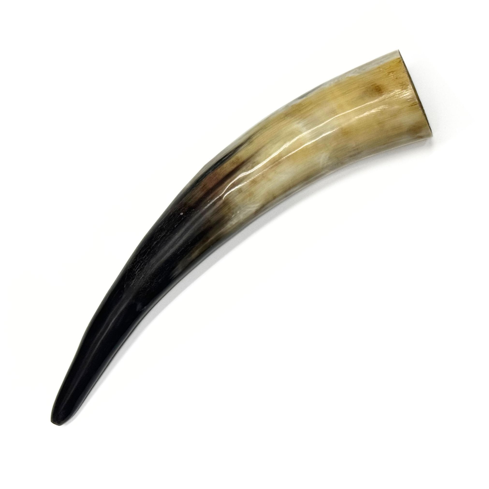 Genuine Water Buffalo Horns - Natural or Polished — Leather Unlimited