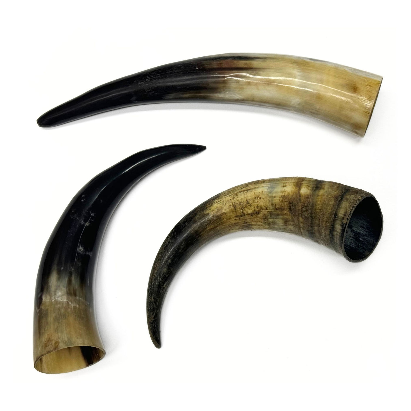 Genuine Water Buffalo Horns - Natural or Polished — Leather Unlimited