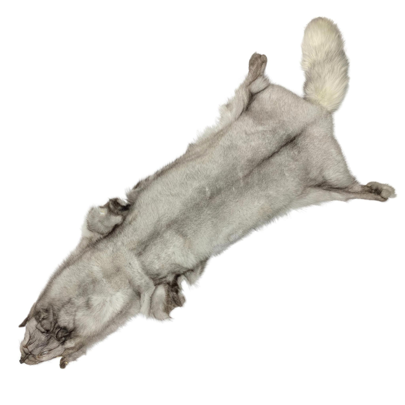 Premium Blue Fox Pelt - Beautiful Fox Fur — Leather Unlimited