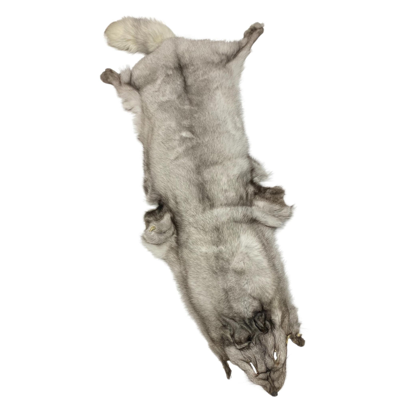 Premium Blue Fox Pelt - Beautiful Fox Fur — Leather Unlimited