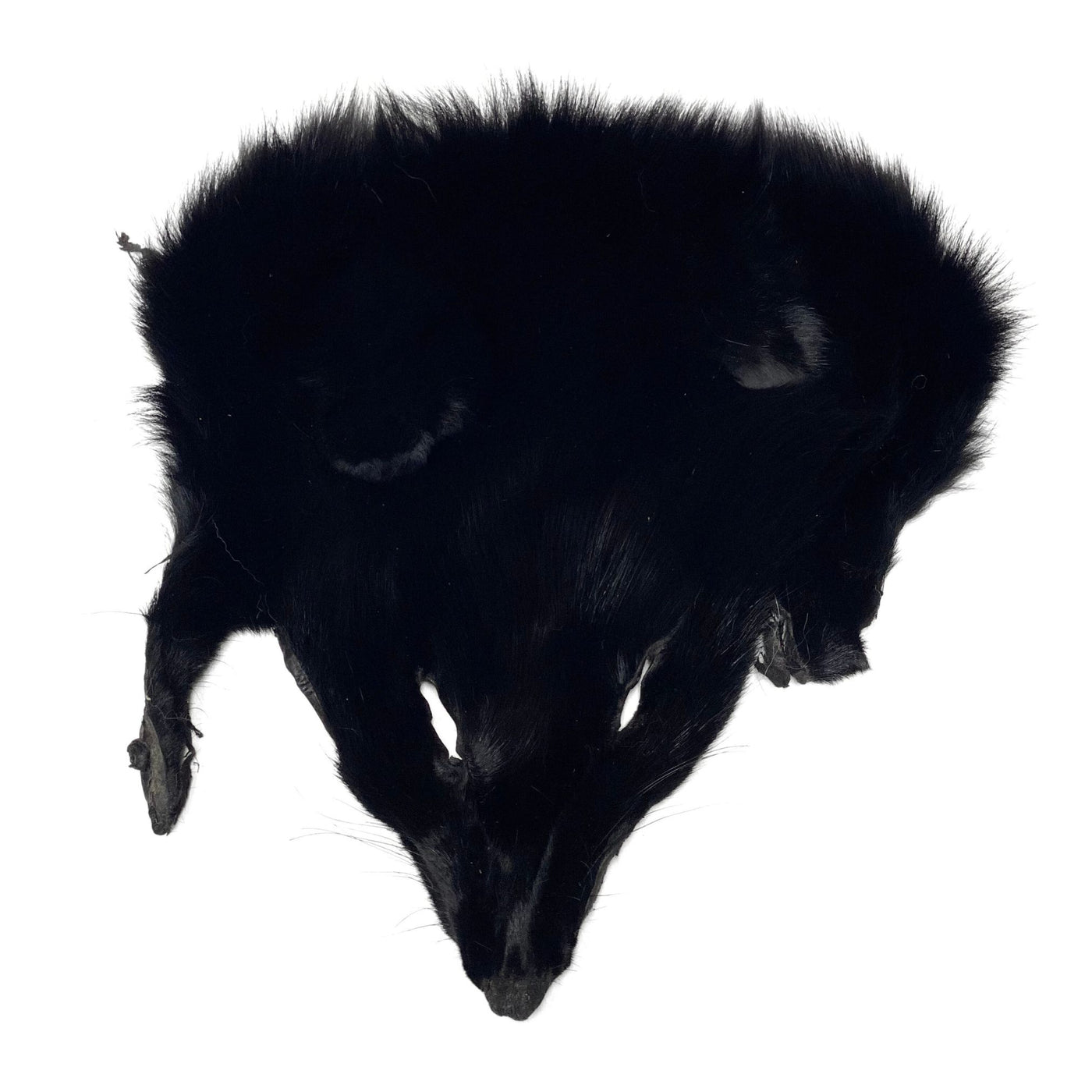 Authentic Black Fox Face - Genuine Fur Animal Face for Crafts and Cost ...