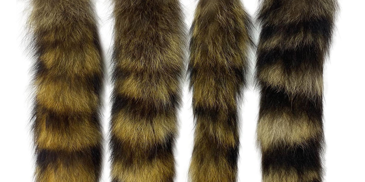 Authentic Raccoon Tail with Keychain - Genuine Fur Tails for Crafts an ...