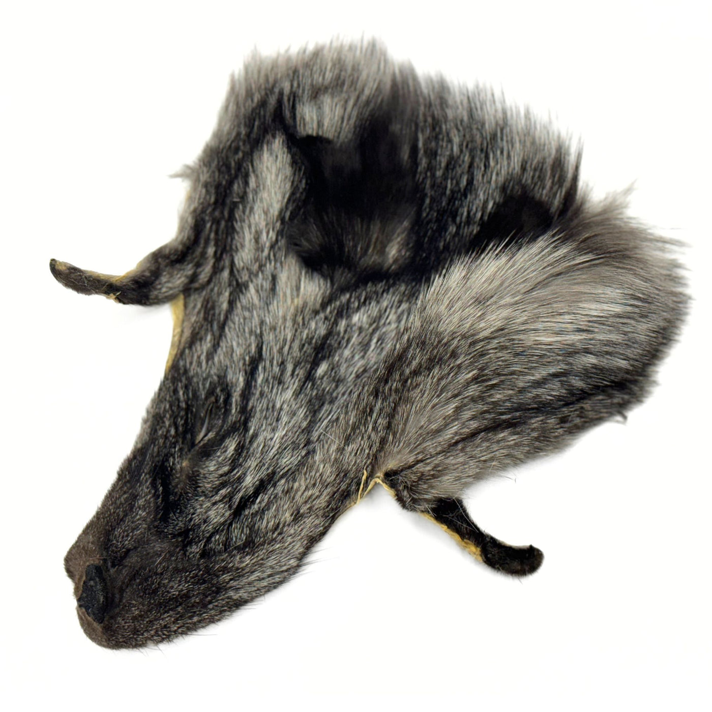 Authentic Classic Fox Face - Genuine Fur Animal Face for Crafts and Co ...