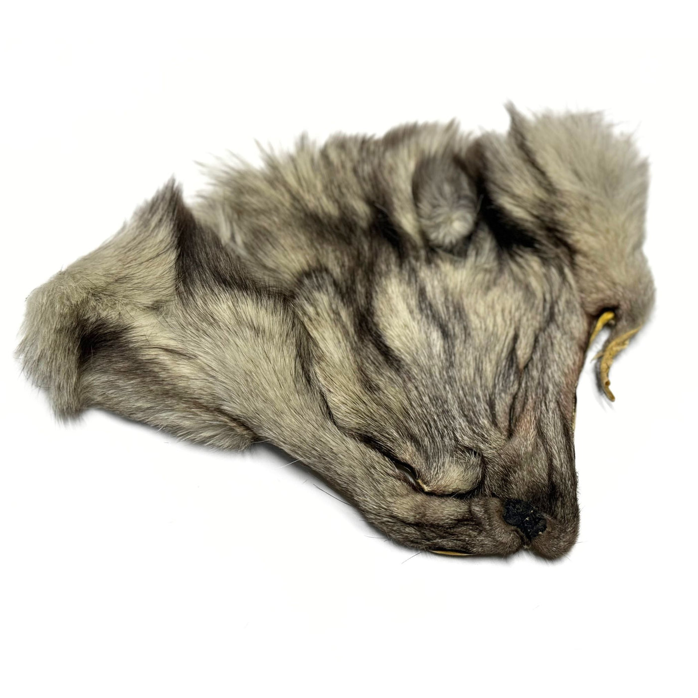 Authentic Classic Fox Face - Genuine Fur Animal Face for Crafts and Co ...