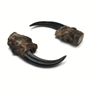 1" - 2" Eagle Claws - 2 Pack — Leather Unlimited