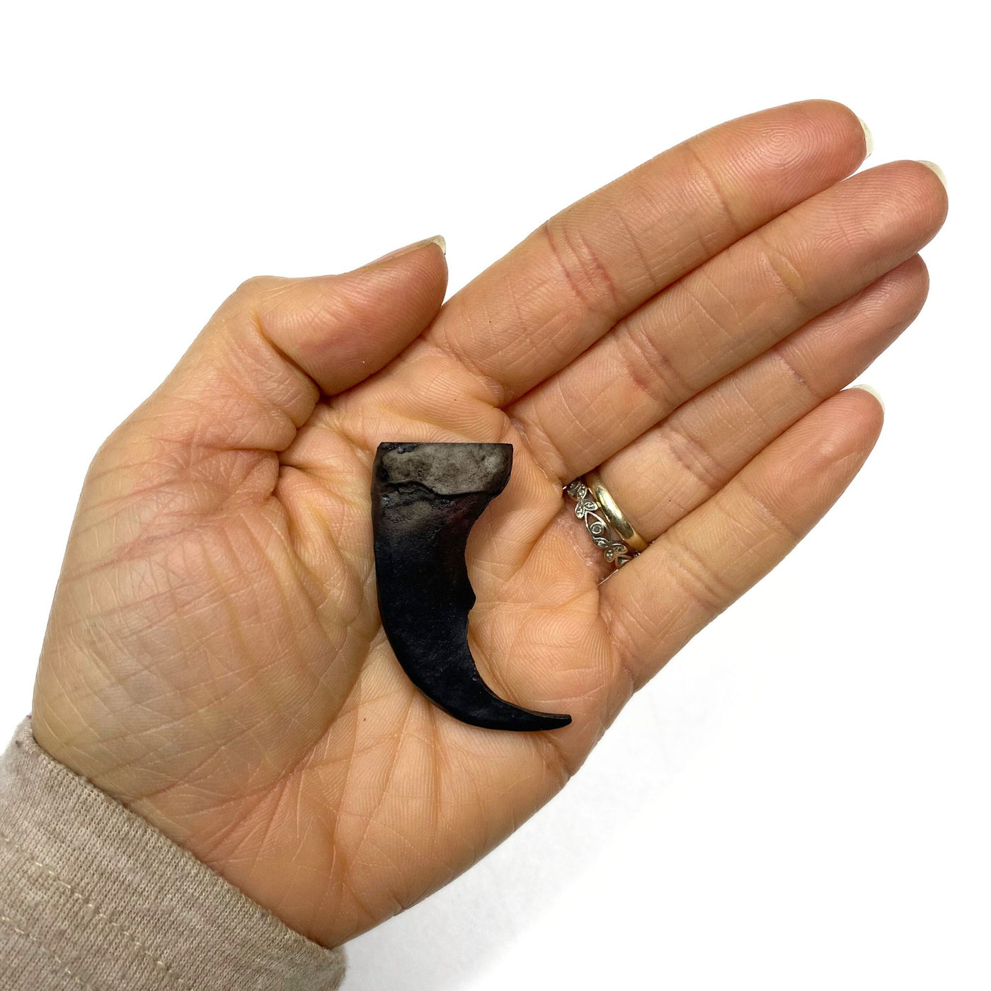 Bear Claw - 2" - 3.5" — Leather Unlimited