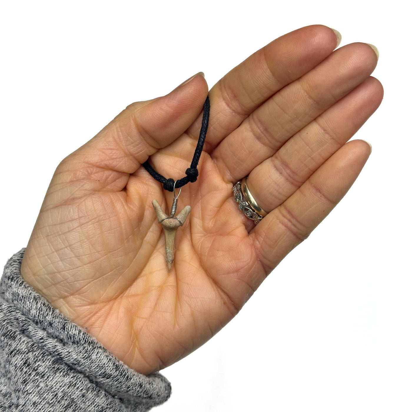 Genuine Shark Tooth Necklaces - 12 Pack (1 Dozen) — Leather Unlimited