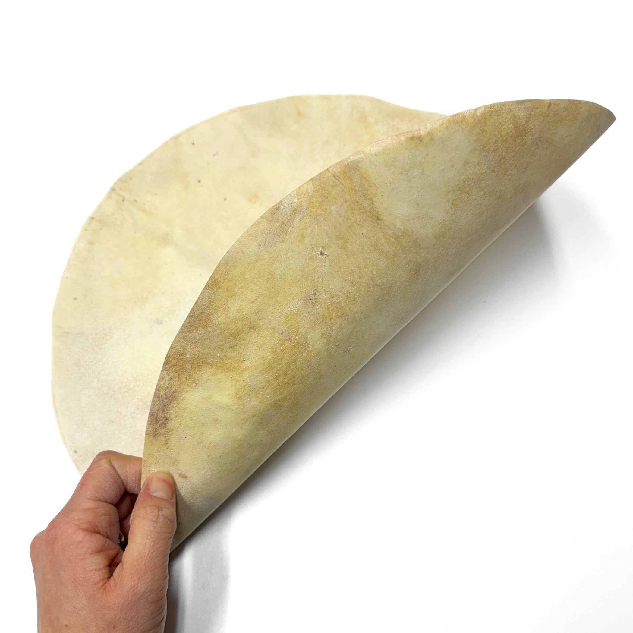 Rawhide Drum Cover Circles - 1 to 2 oz Goat Rawhide for Crafts ...