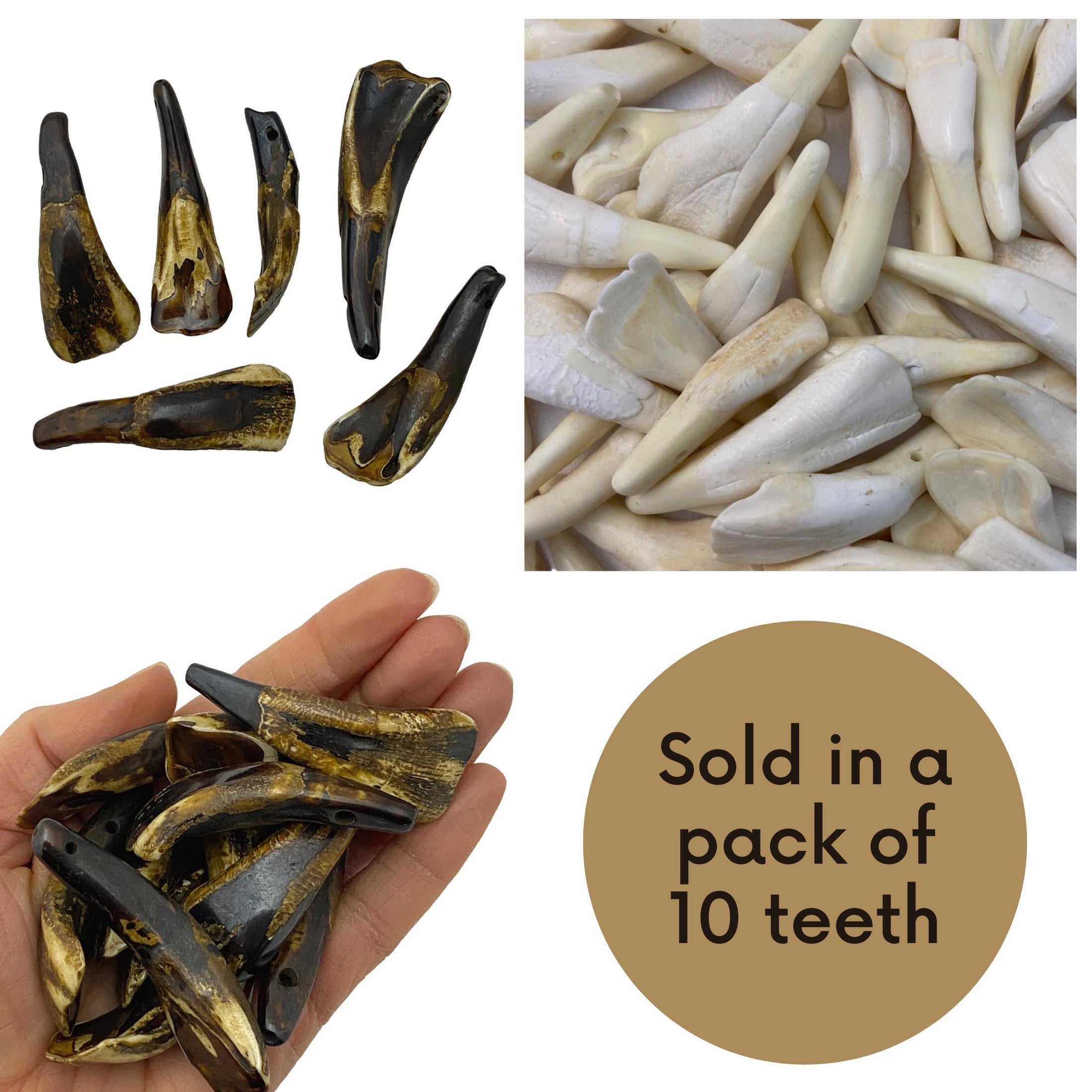 Replica Buffalo Teeth Bead Accent Accessory 10 Pack - Brown or White ...
