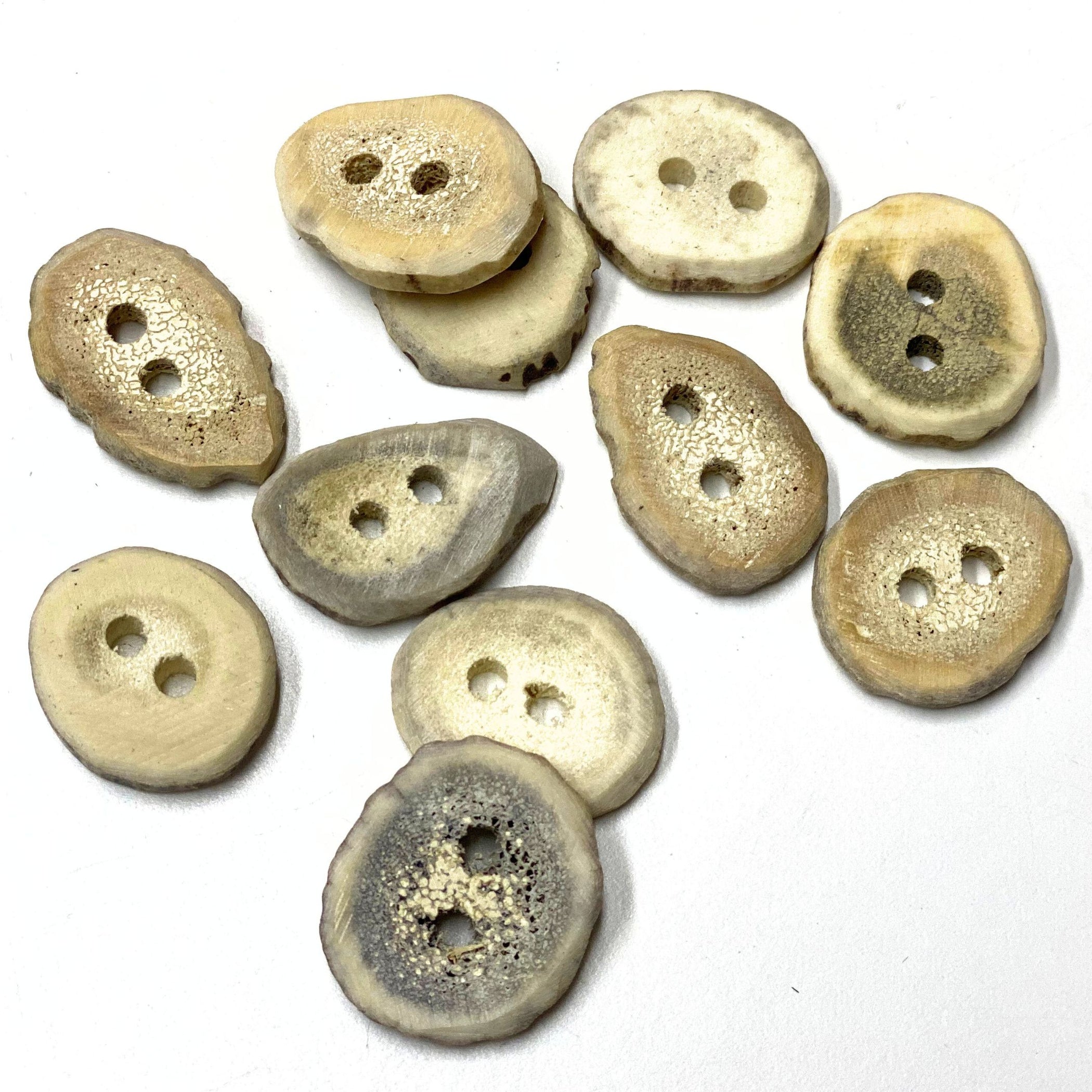 Antler Buttons for Crafts - 12 pack — Leather Unlimited