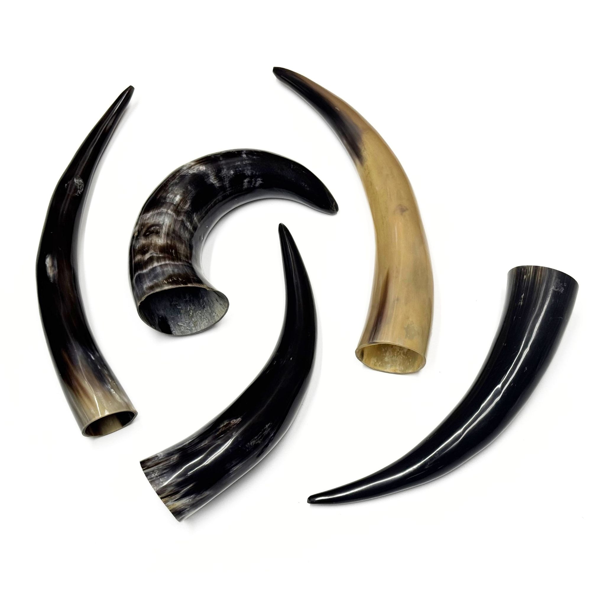 Genuine Water Buffalo Horns - Natural or Polished — Leather Unlimited