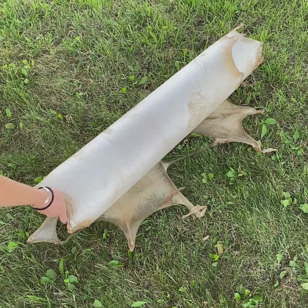 Rawhide — Leather Unlimited