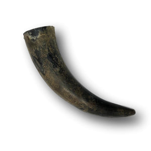 Genuine Water Buffalo Horns - Natural or Polished — Leather Unlimited