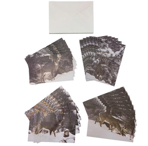 Deer Hunter Greeting Cards - Whitetail Deer Stationary Note Cards - 4 ...