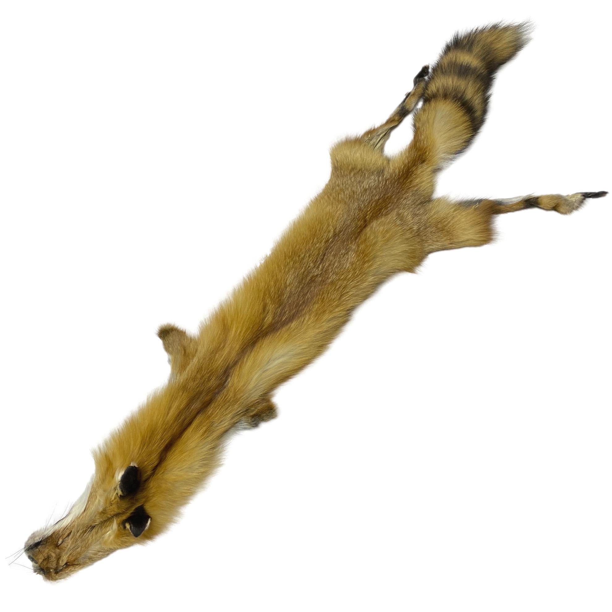 Beautifully Tanned Red Fox Pelt - Authentic Full Body Animal Fur Hide ...