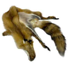 Beautifully Tanned Red Fox Pelt - Authentic Full Body Animal Fur Hide ...