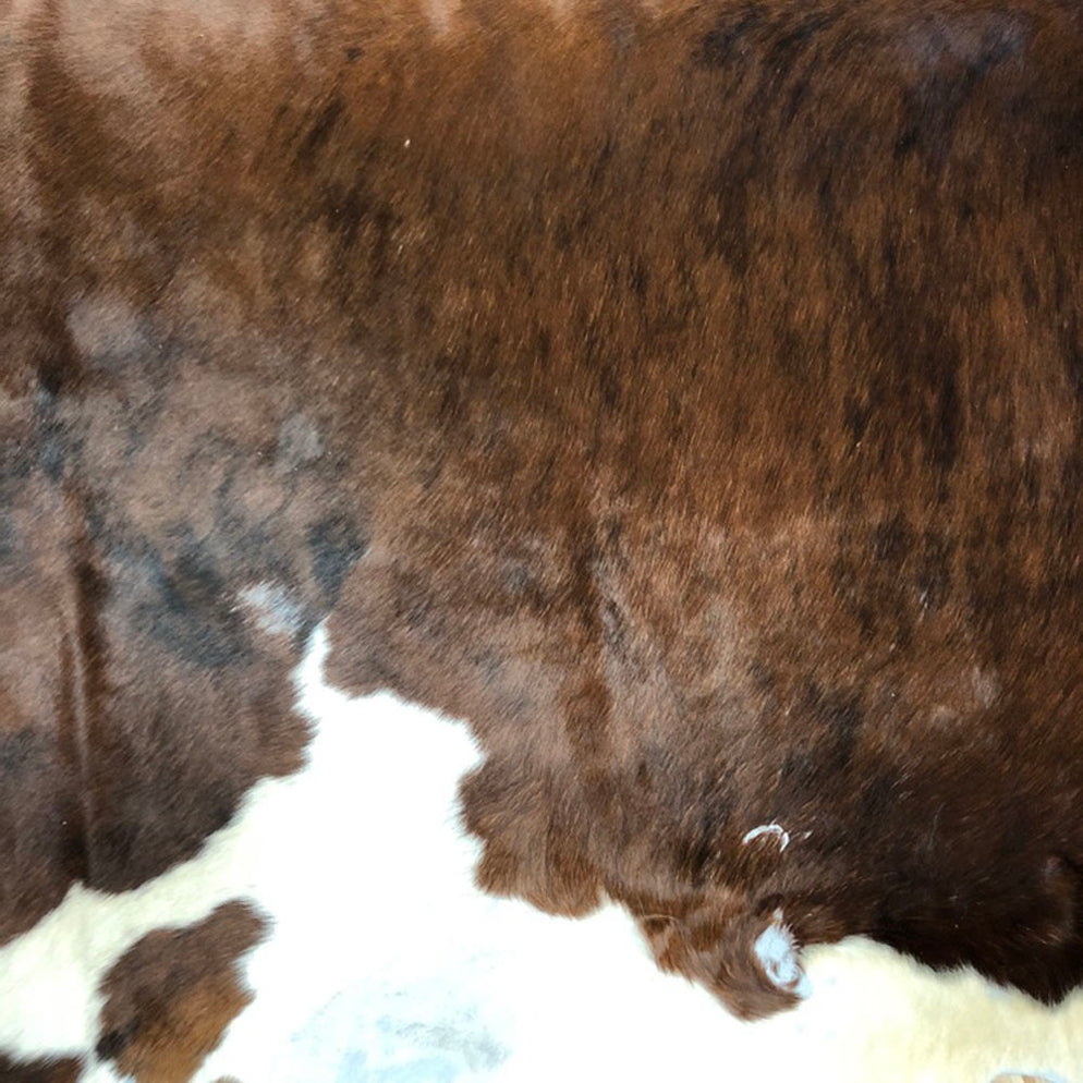 Large Hair on Hide Steer Leather Hides - Brown - Black - White - Brind ...
