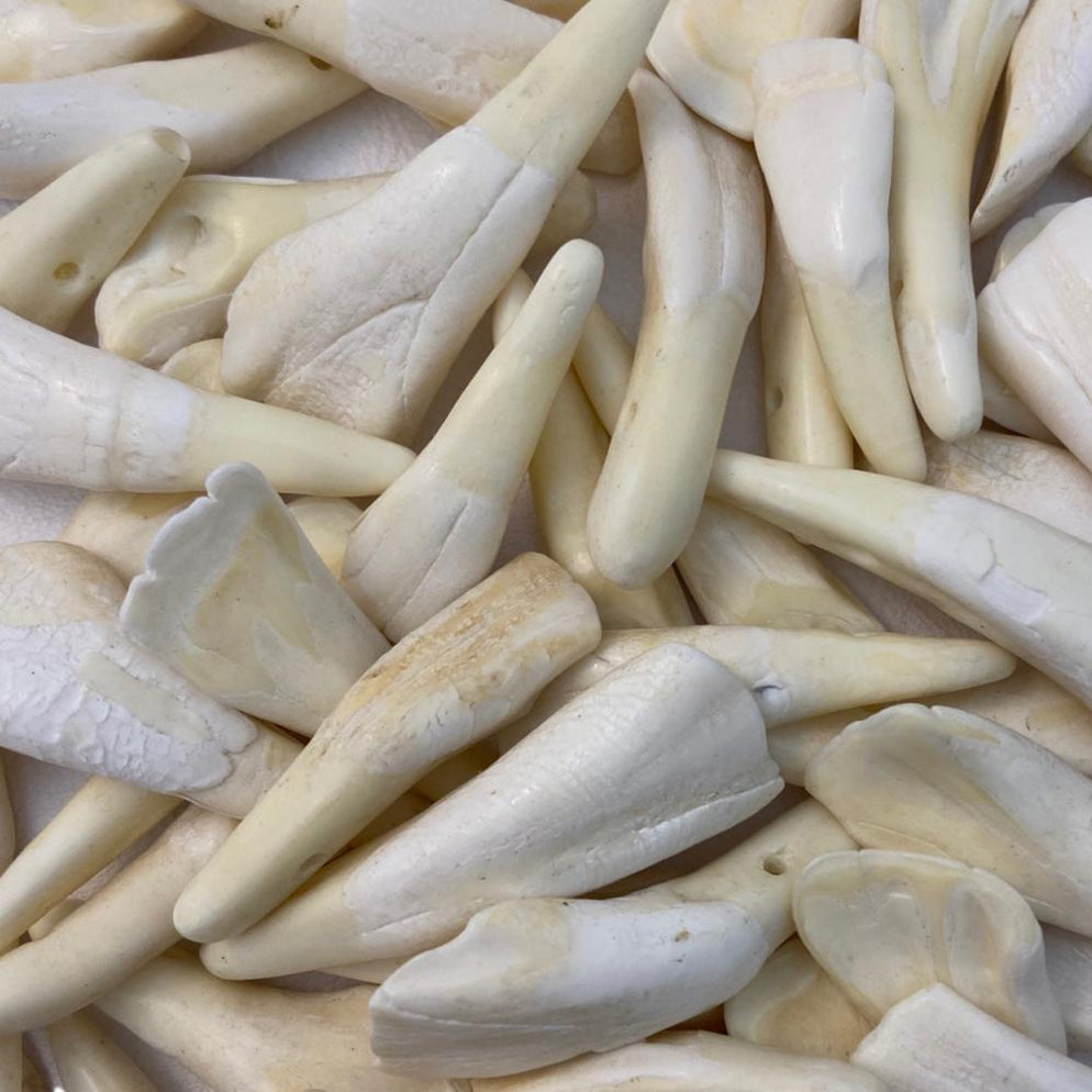 Replica Buffalo Teeth Bead Accent Accessory 10 Pack - Brown or White ...