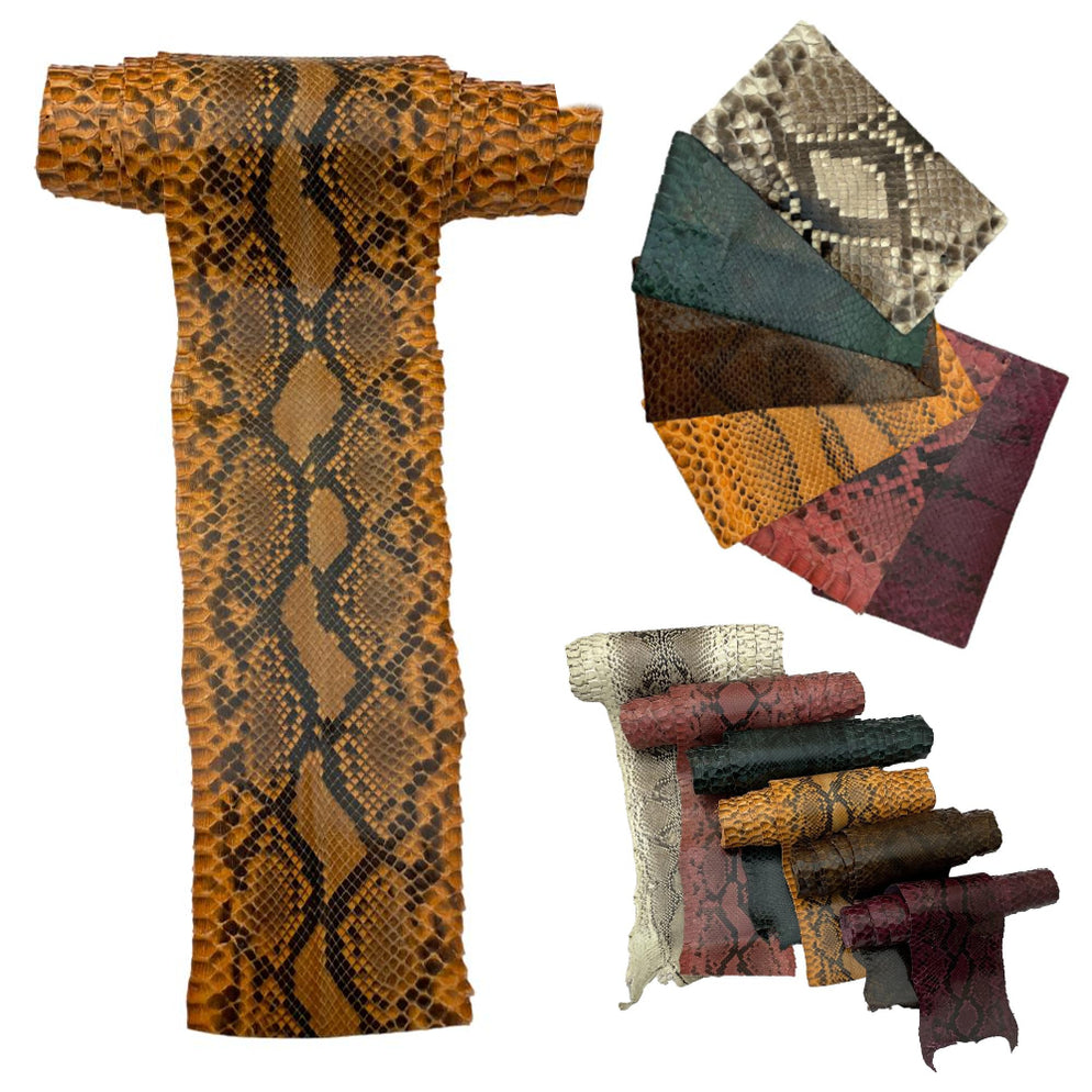 Large Exotic Python Snakeskin - Black & White - Green - Brown - Orange ...