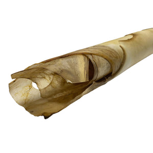 Rawhide Goatskin - Lightweight 1 oz Hide - Large or XXL — Leather Unlimited