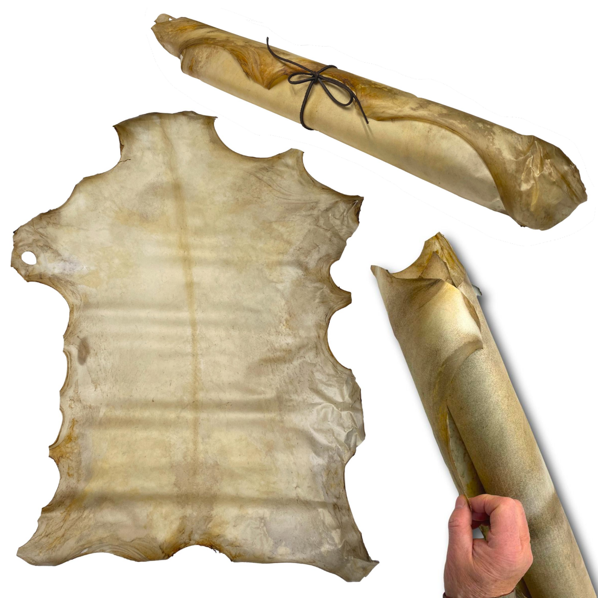Rawhide — Leather Unlimited