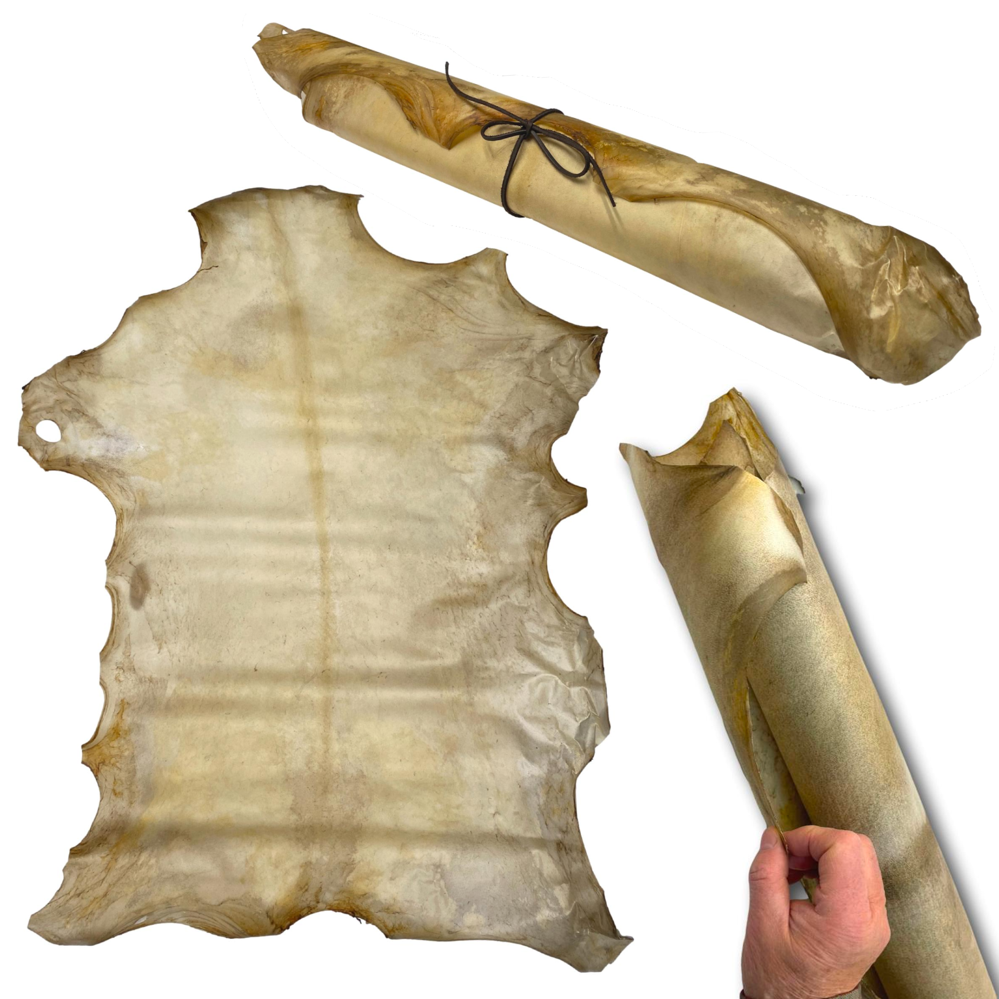 Rawhide Goatskin - Lightweight 1 oz Hide - Large or XXL — Leather Unlimited