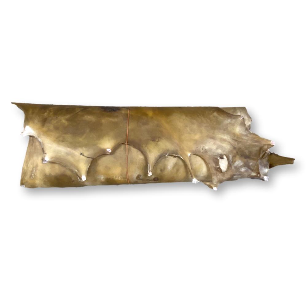 Cow Rawhide Large 5 to 6 oz Hide | Leather Unlimited