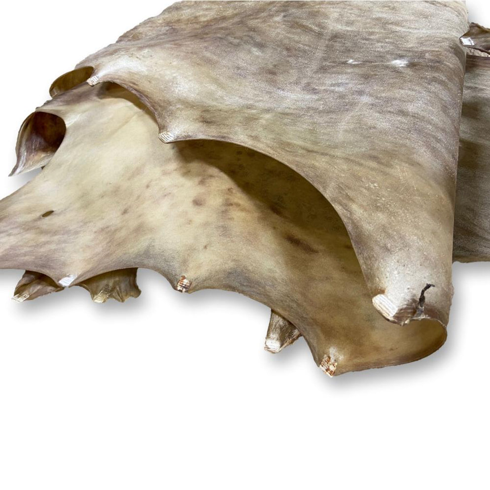 Cow Rawhide Large 5 to 6 oz Hide — Leather Unlimited