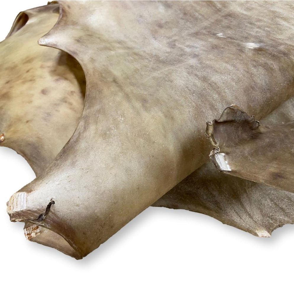 Cow Rawhide Large 5 to 6 oz Hide — Leather Unlimited