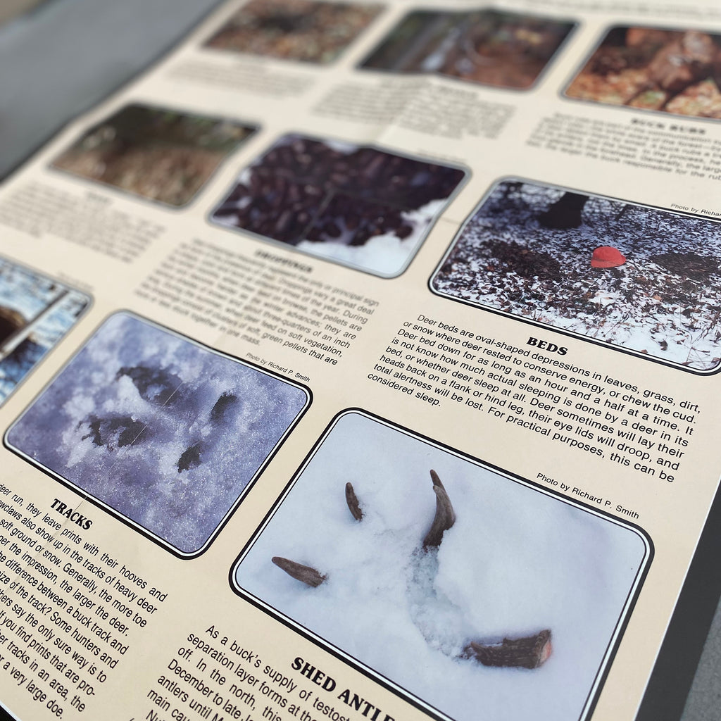 Deer Instructional Posters — Leather Unlimited