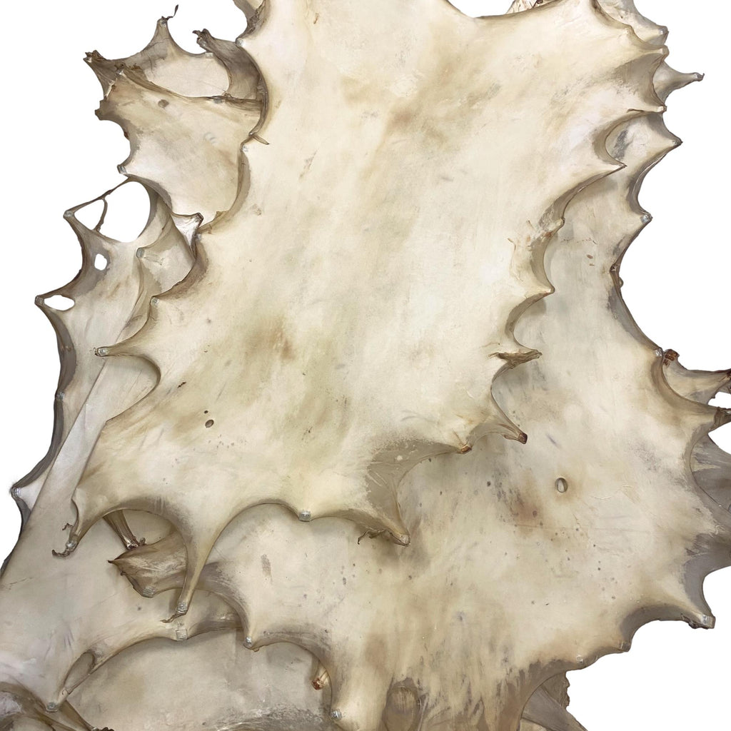 Rawhide — Leather Unlimited