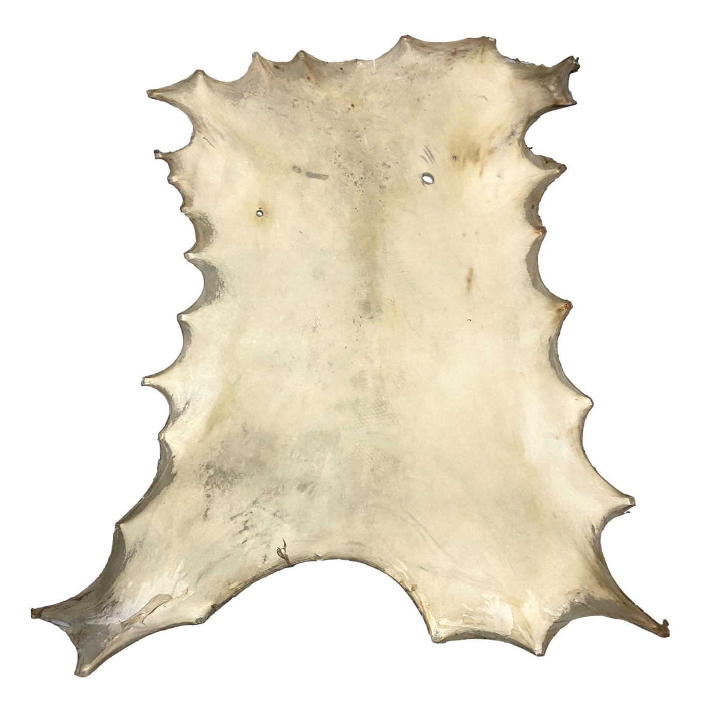 Deerskin Rawhide - 2 oz Hide - Large, XL, or XXL - A Grade - B Grade ...