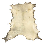 Deerskin Rawhide - 2 oz Hide - Large, XL, or XXL - A Grade - B Grade ...
